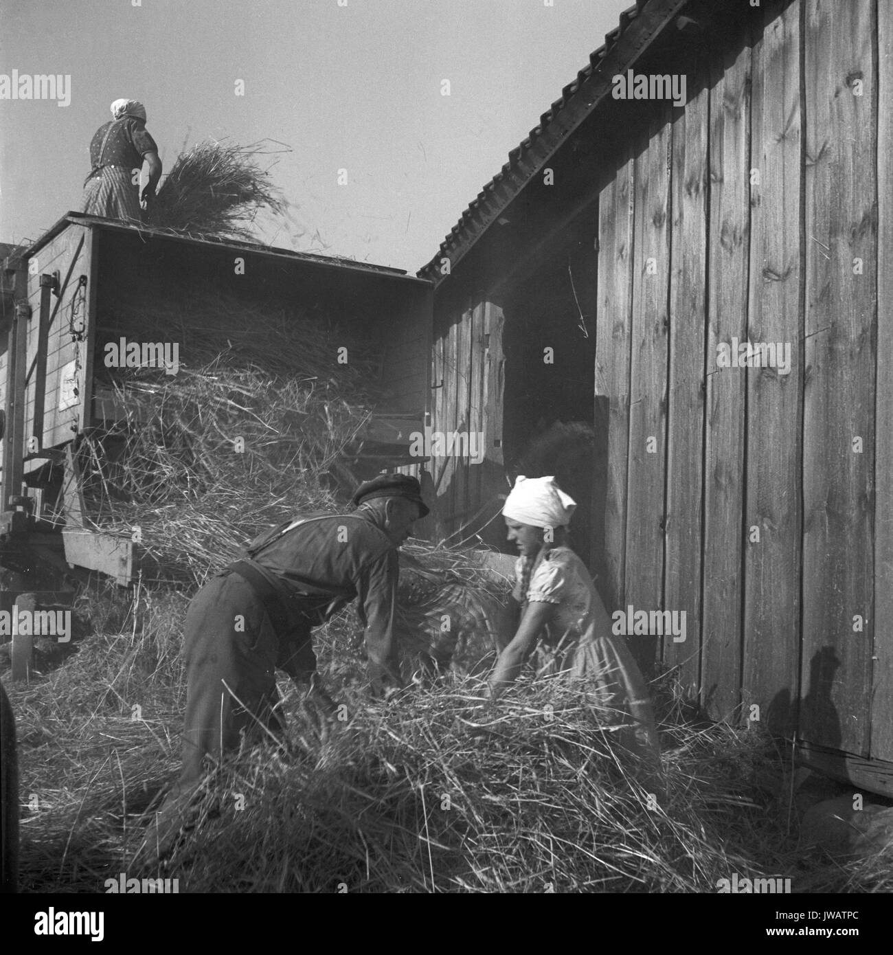 Farm Workers 1930s High Resolution Stock Photography and Images - Alamy
