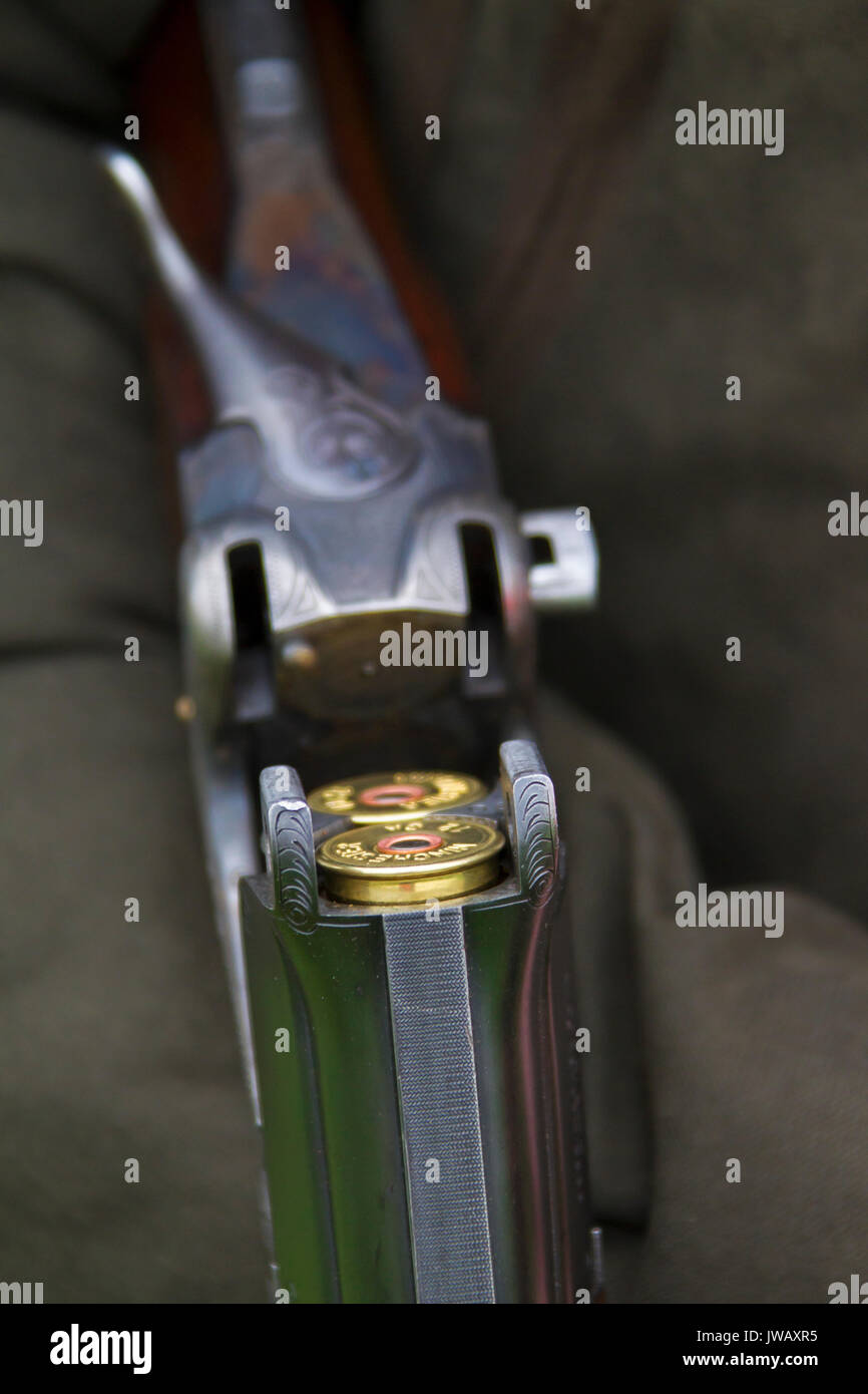 Open shotgun shells hi-res stock photography and images - Alamy