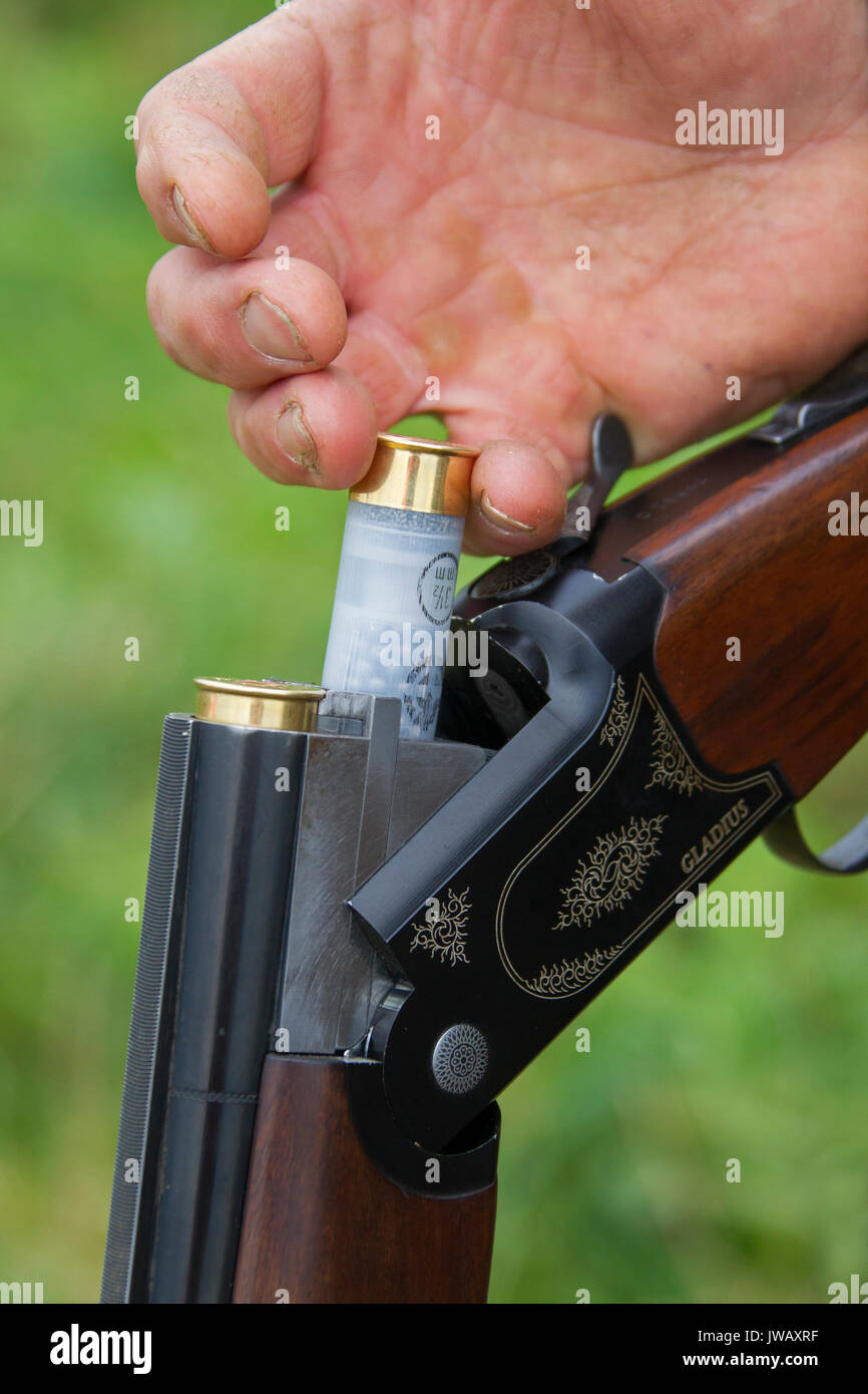 Double barreled shotgun hi-res stock photography and images - Alamy