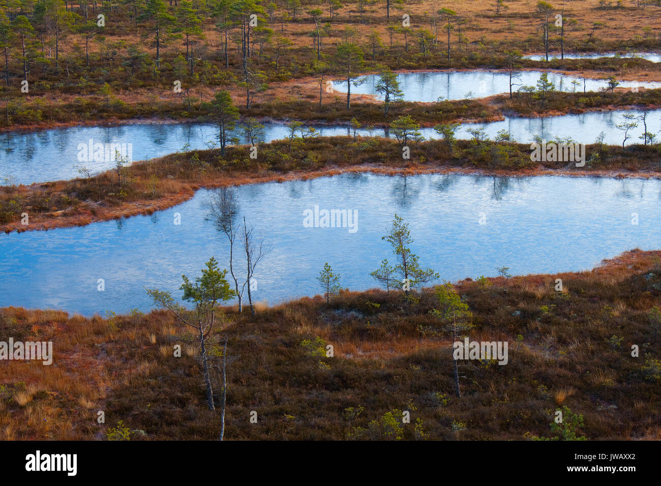 Mukri raba hi-res stock photography and images - Alamy