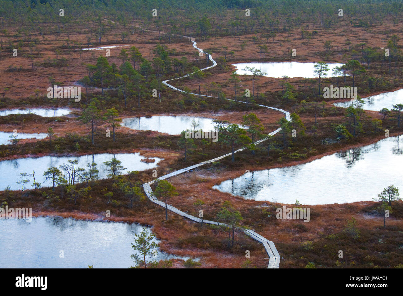 Mukri raba hi-res stock photography and images - Alamy