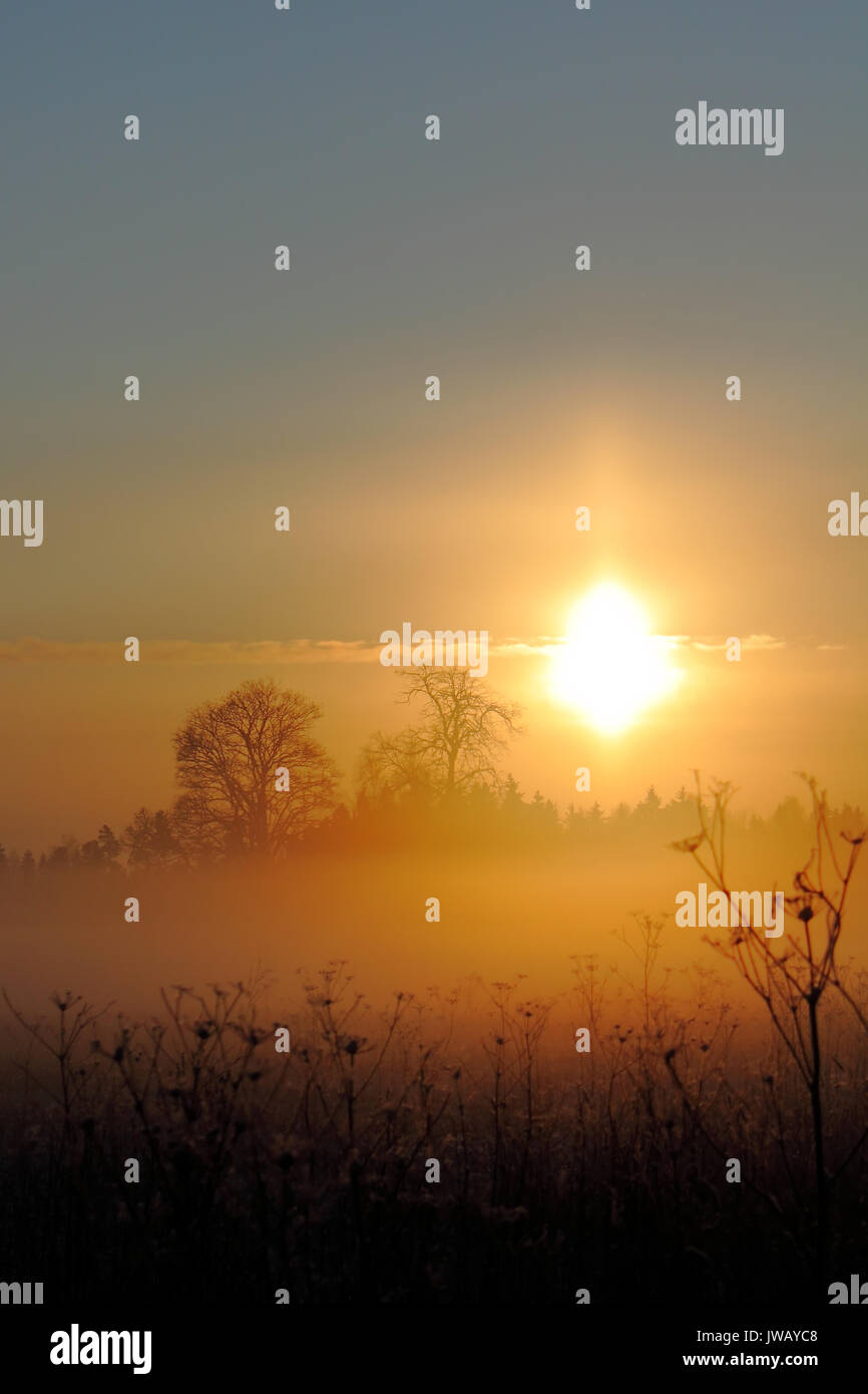 Beautiful dark winter sky hi-res stock photography and images - Alamy