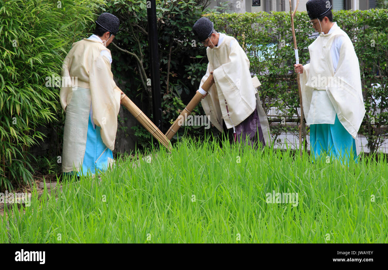 Japan, Kyoto, Onda-Sai, Rice planting ceremony, Matsuo Taisha Shrine ...