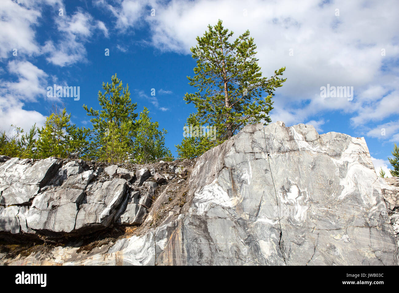 Lonely tree growing on top of the rock Stock Photo - Alamy