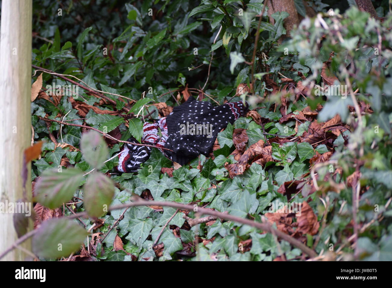 Dirty dumped clothes in the bushes Stock Photo - Alamy