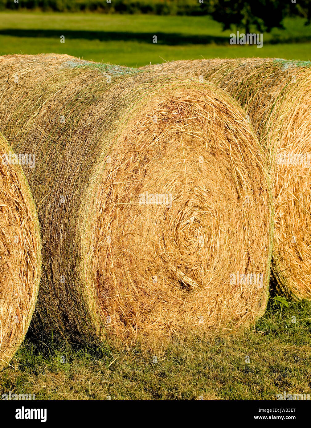 Three straw bales hi-res stock photography and images - Alamy