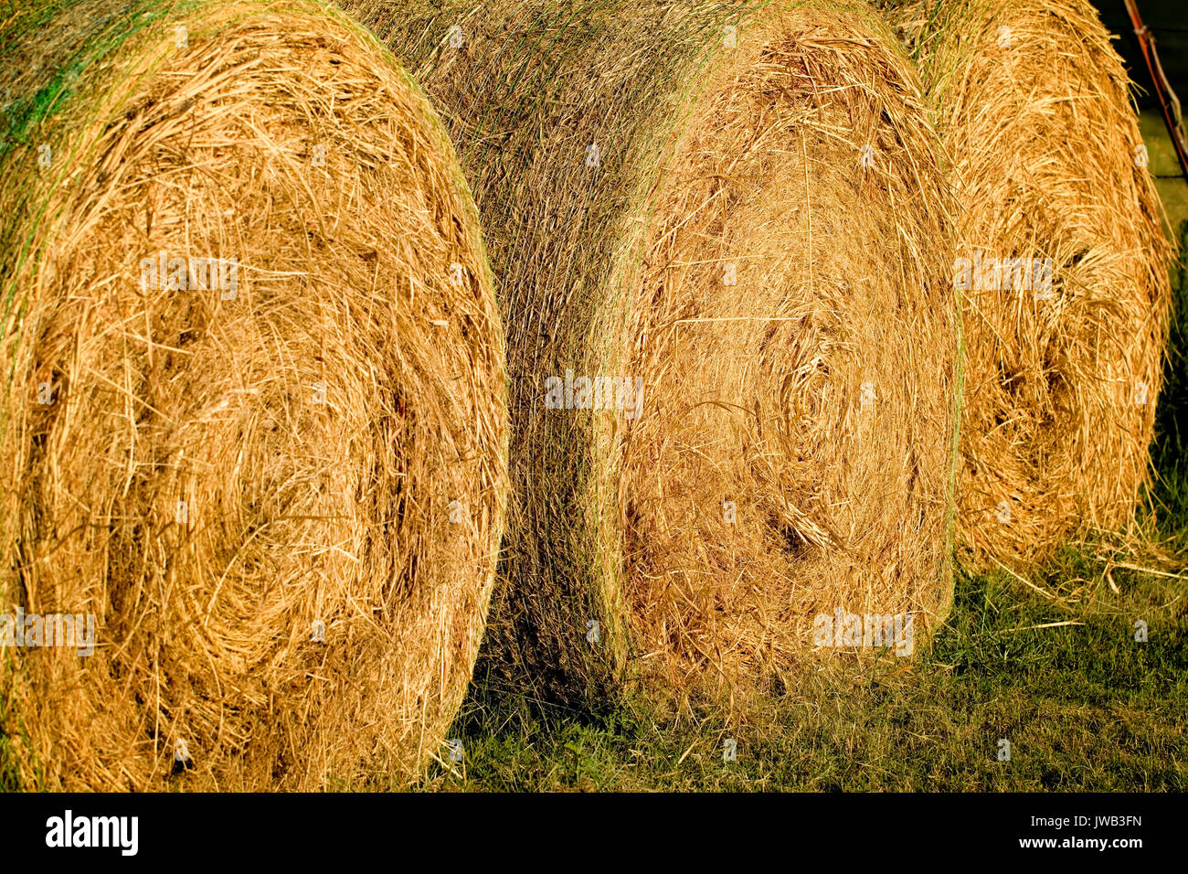 A Line of Three Bales of Hay Stock Photo - Alamy