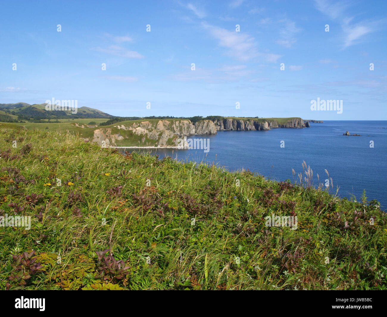 Oceanic coast of Shikotan island Stock Photo - Alamy