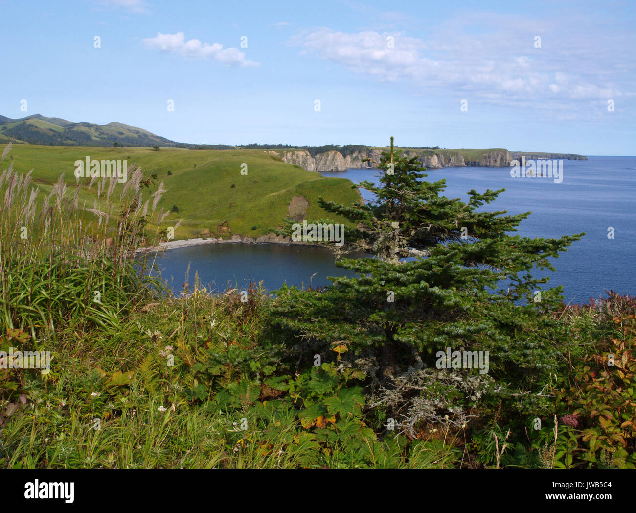Shikotan island coast Stock Photo - Alamy