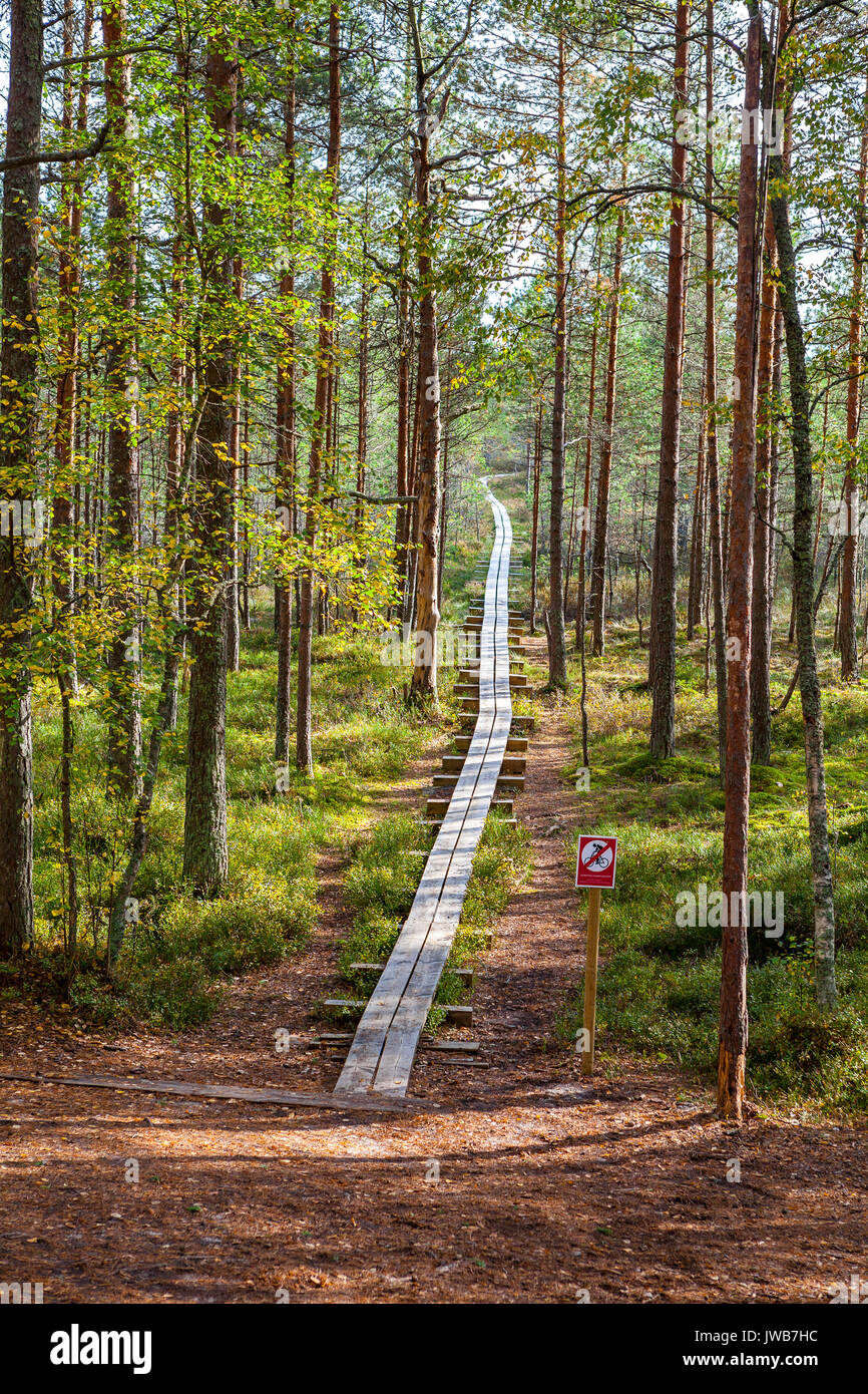 Walk Way Boardwalk Path Nature High Resolution Stock Photography and ...
