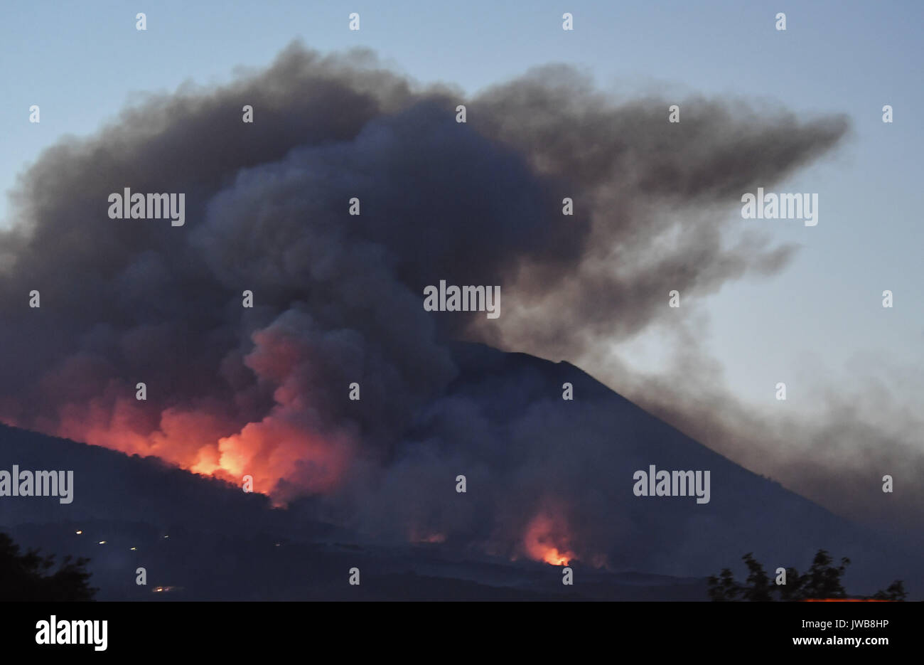 Italian firefighters have been battling numerous separate blazes on the ...