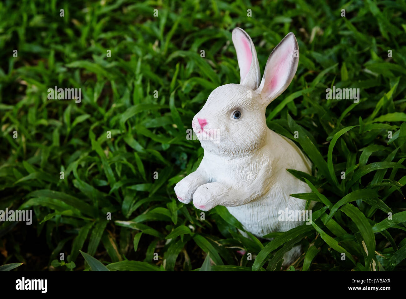 white fake rabbit toy in the grass Stock Photo - Alamy
