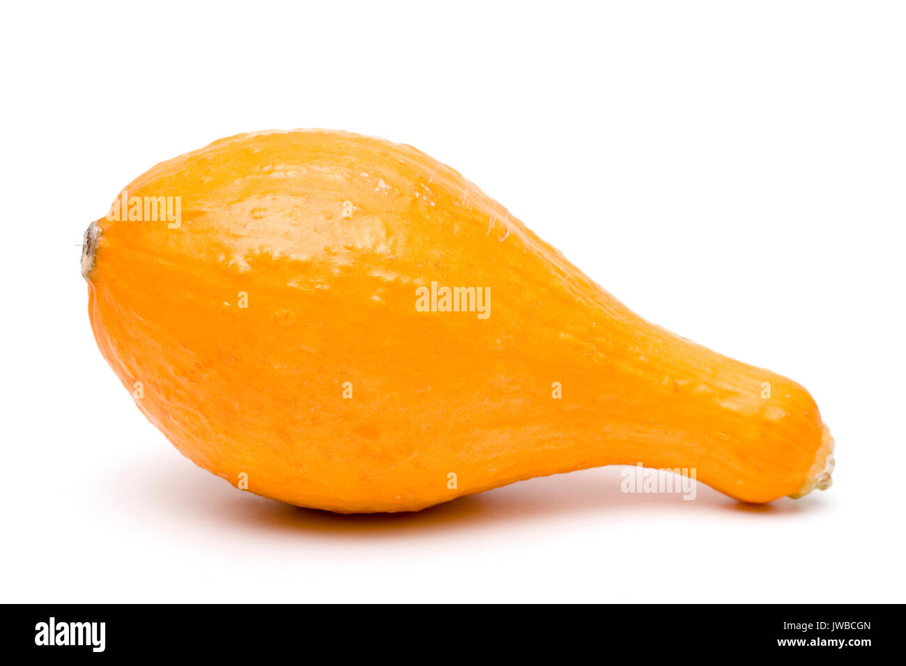 Yellow summer squash hi-res stock photography and images - Alamy