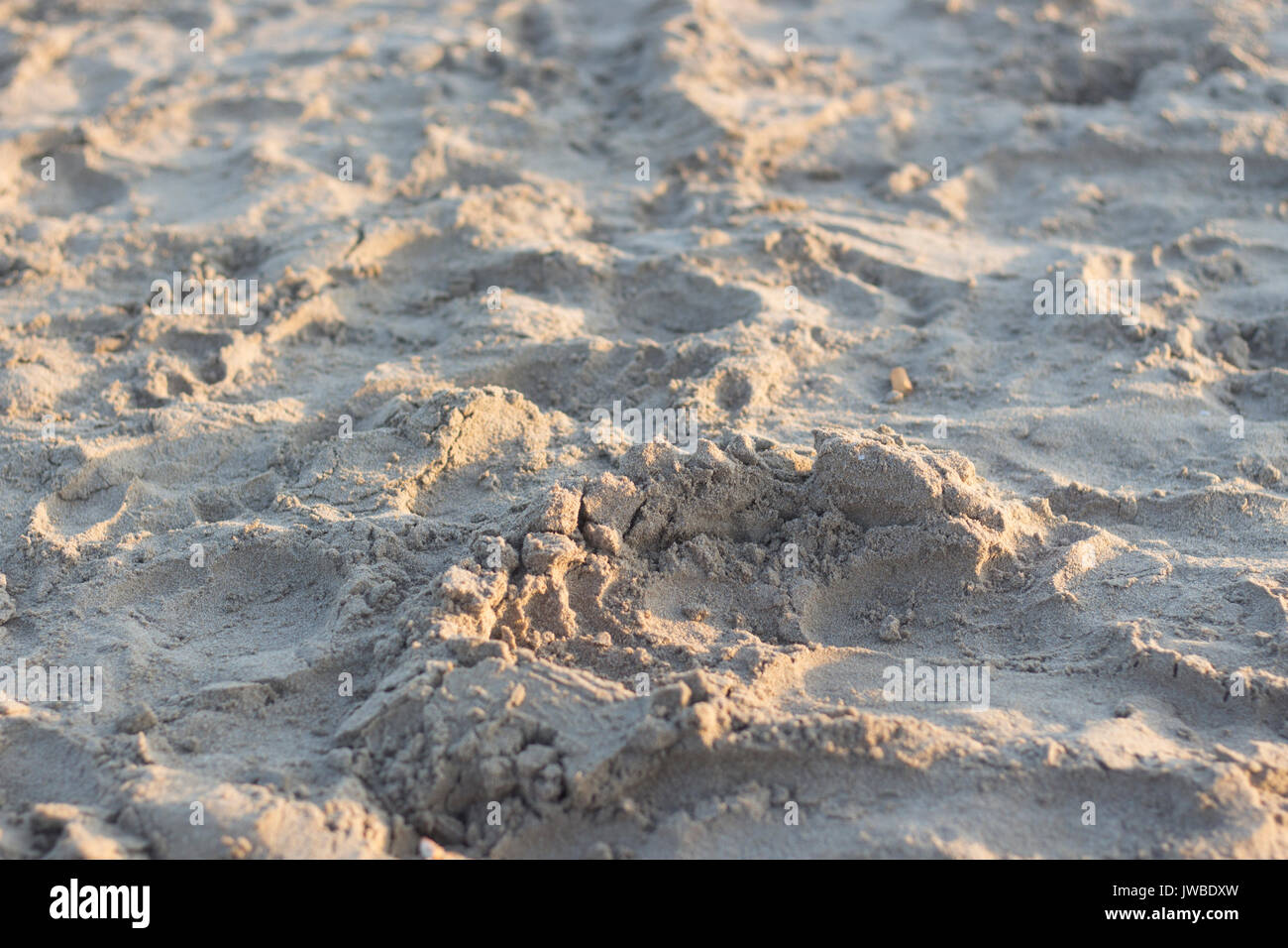 Sand on beach by ocean in summer on holiday Stock Photo - Alamy
