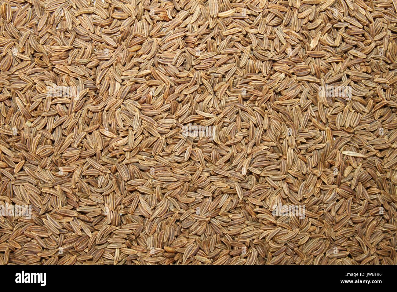 Dry cumin hi-res stock photography and images - Alamy