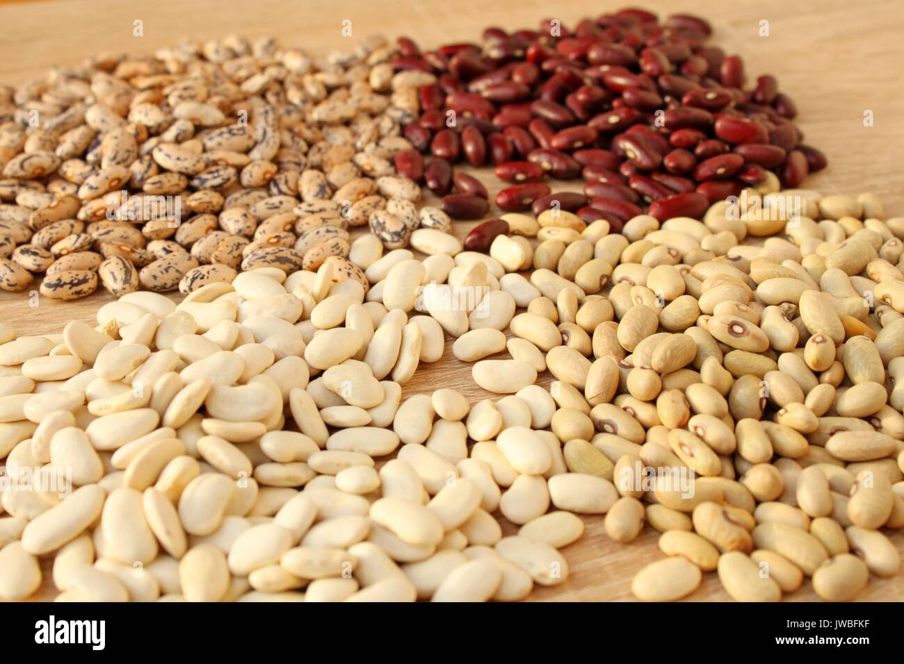 Arikara yellow bean hi-res stock photography and images - Alamy