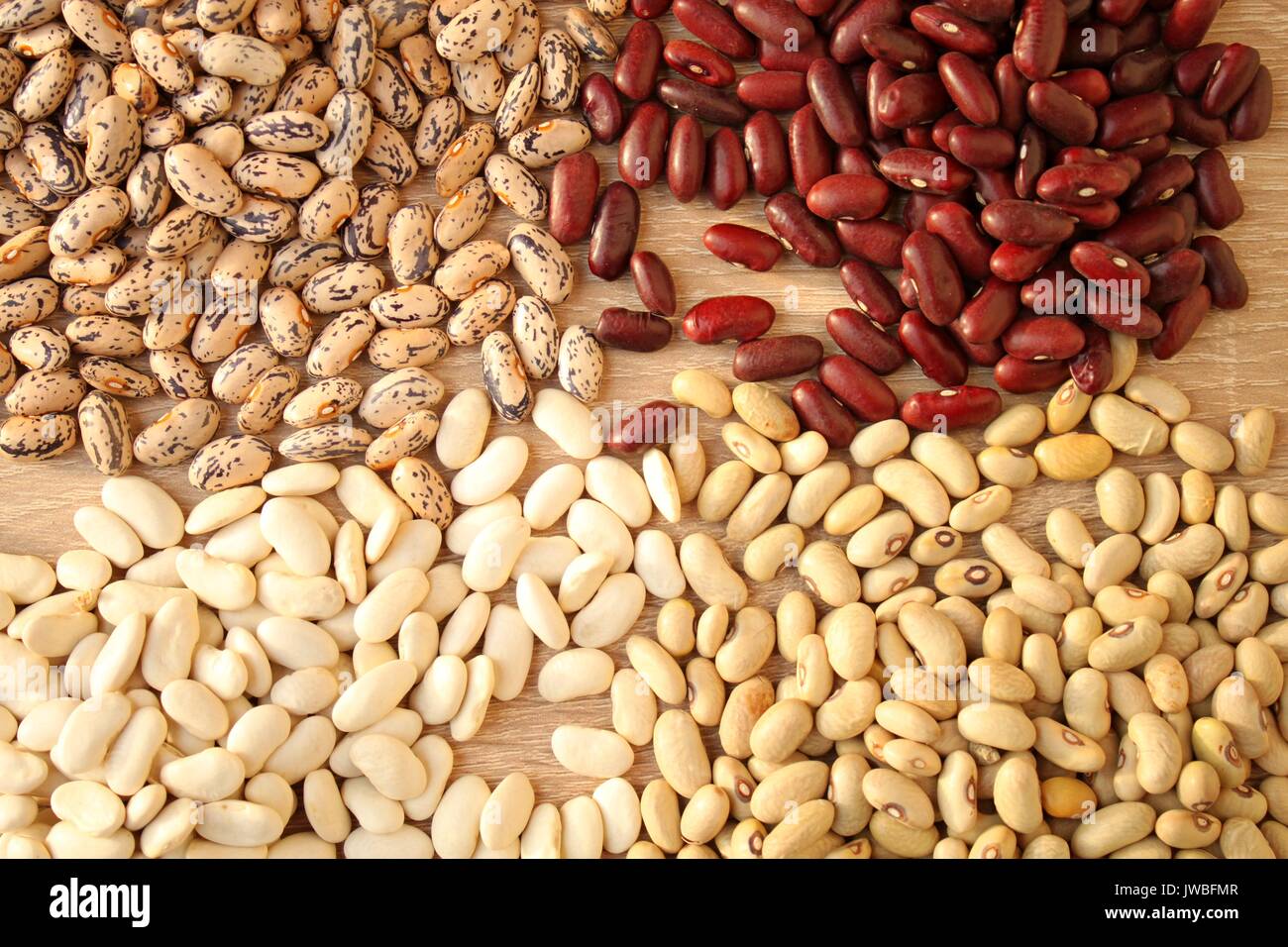 Leguminous plants hi-res stock photography and images - Alamy