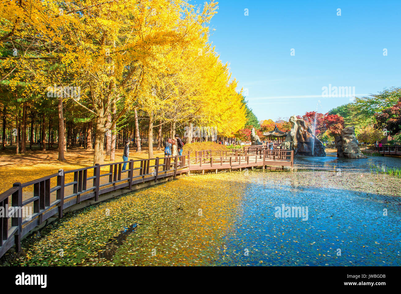 NAMI ISLAND,KOREA - OCT 25: Tourists taking photos of the beautiful ...