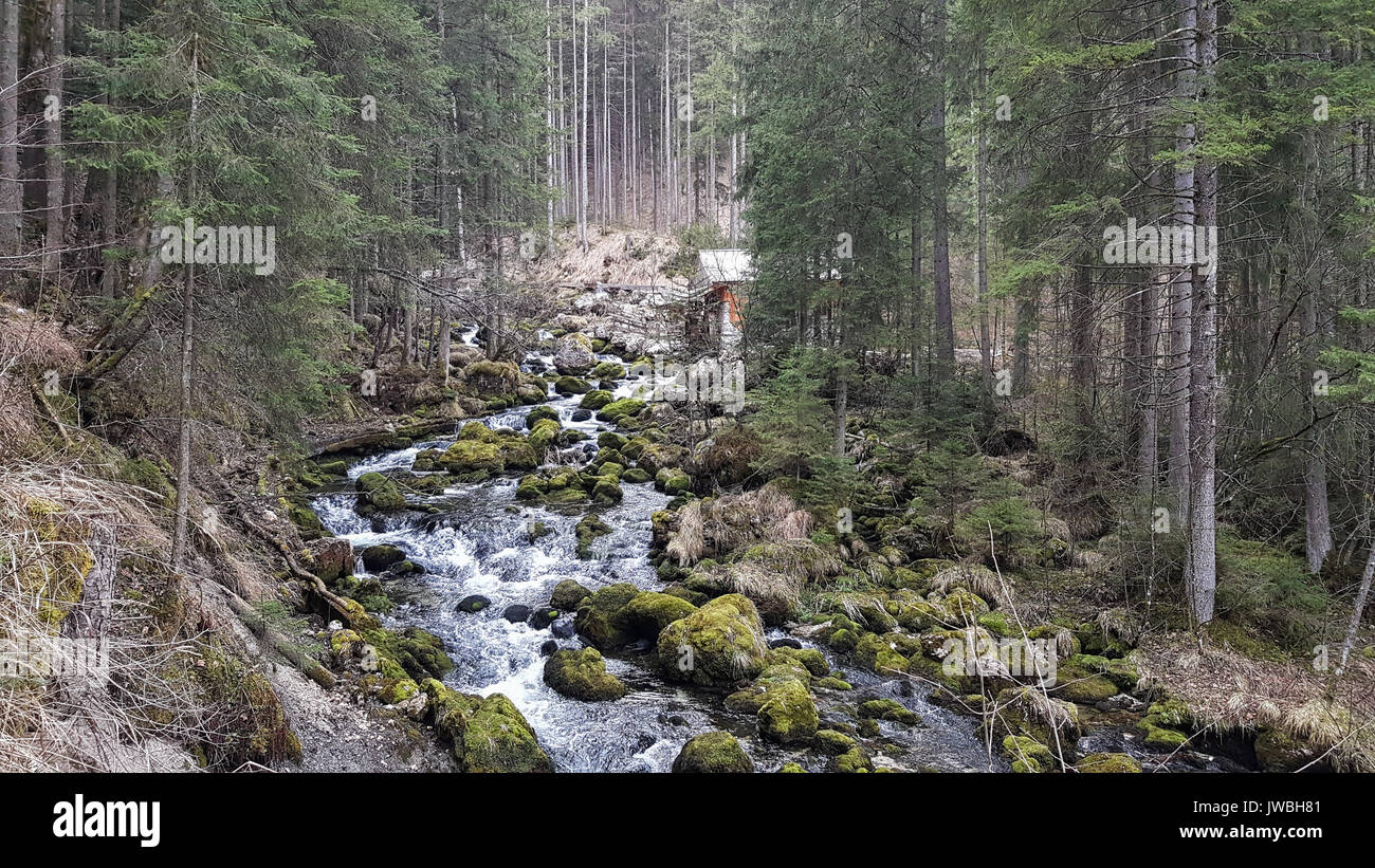 Alpine stream in Austria Stock Photo - Alamy