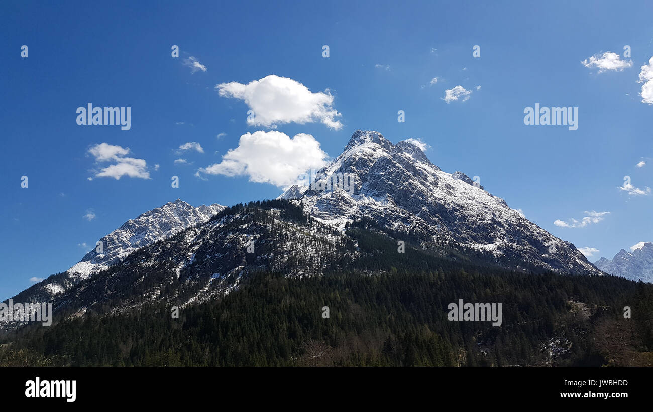 Austrian forrest hi-res stock photography and images - Alamy