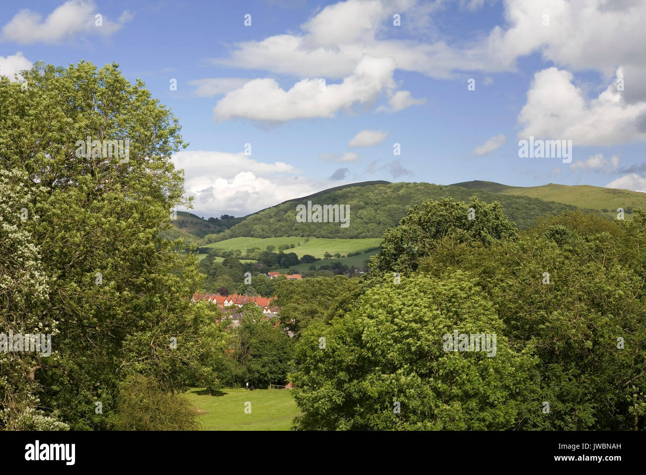 View over Church Stretton and Helmeth Hill from Old Rectory Wood ...