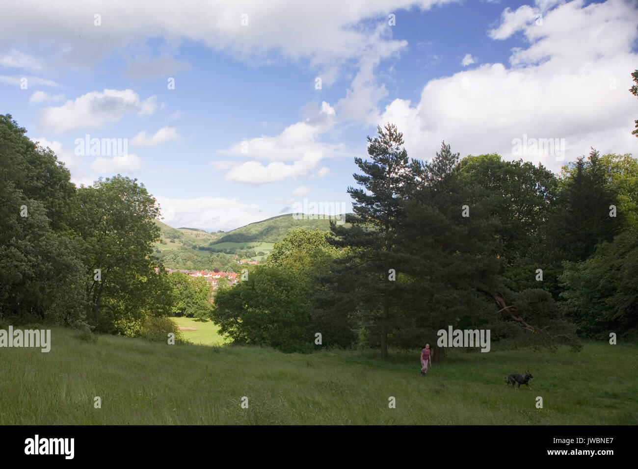 View from Old Rectory Wood across Church Stretton to Helmeth Hill ...