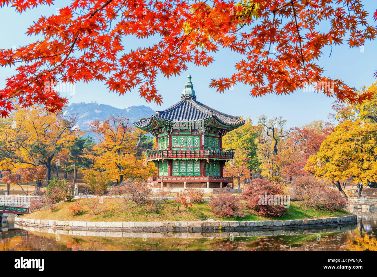 Gyeongbukgung and Maple tree in autumn in korea Stock Photo - Alamy