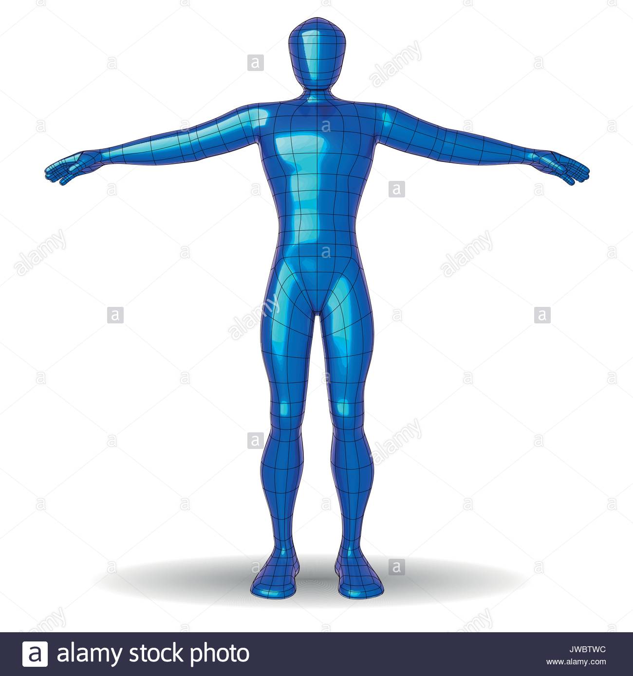 Wireframe Man Stock Vector Images - Alamy