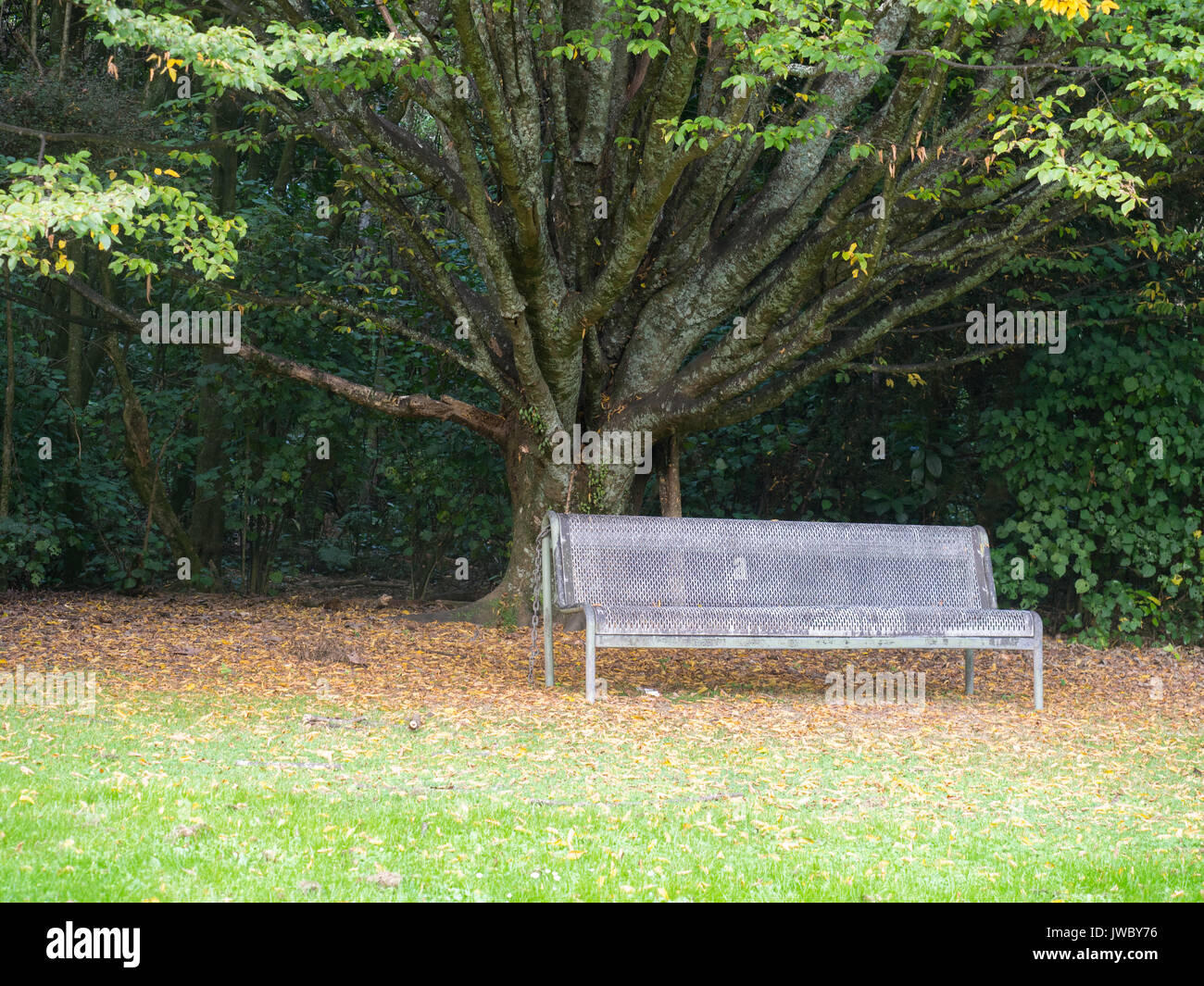 Seat seating outdoors trees hi-res stock photography and images - Alamy