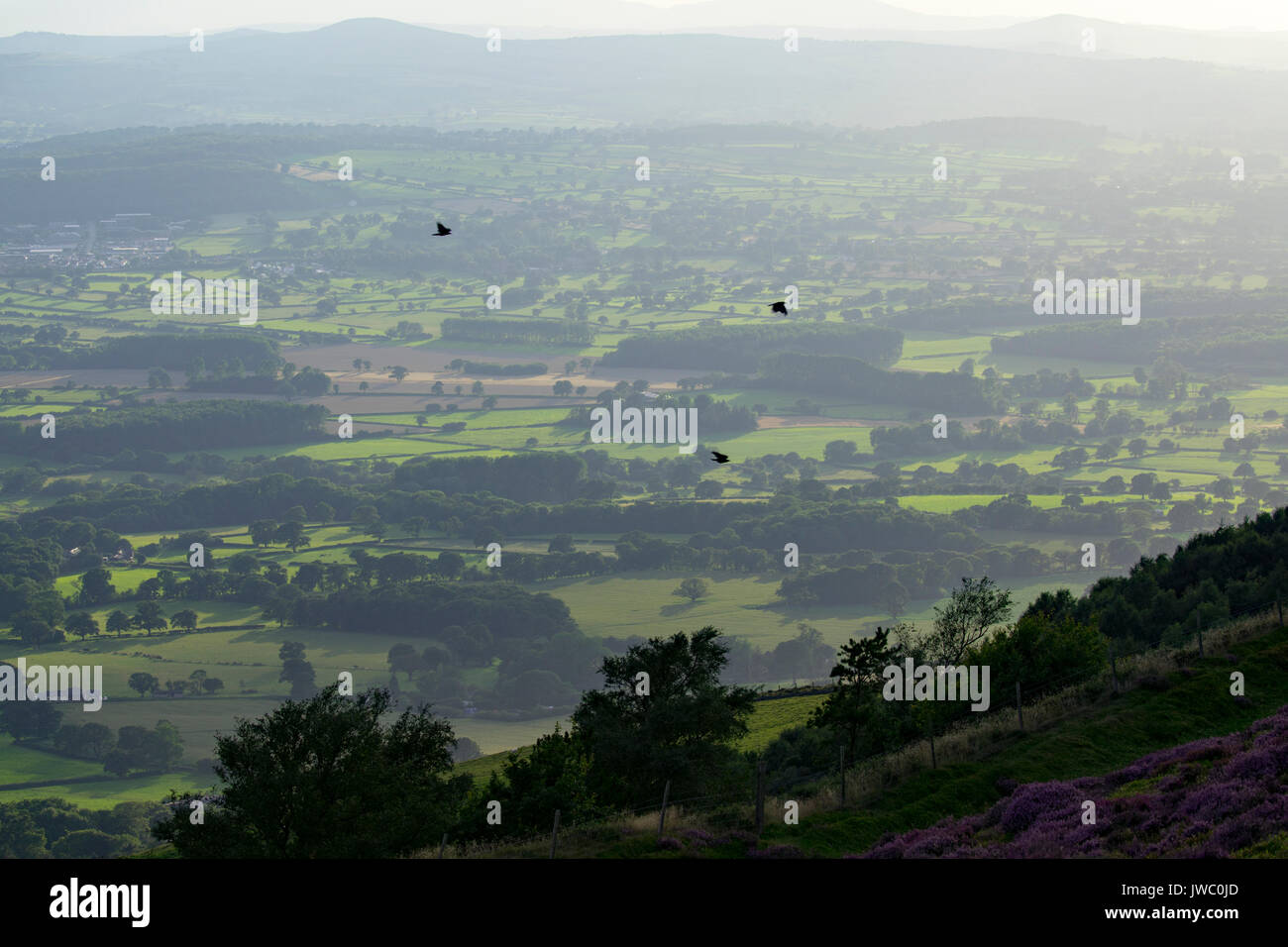 Vale of clwyd hi-res stock photography and images - Alamy