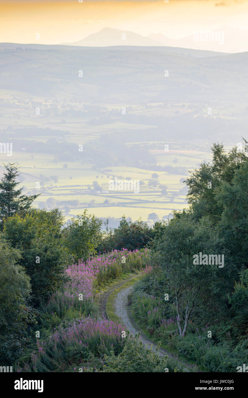 A view from the Clwydian Range across the Vale of Clwyd with Snowdonia ...