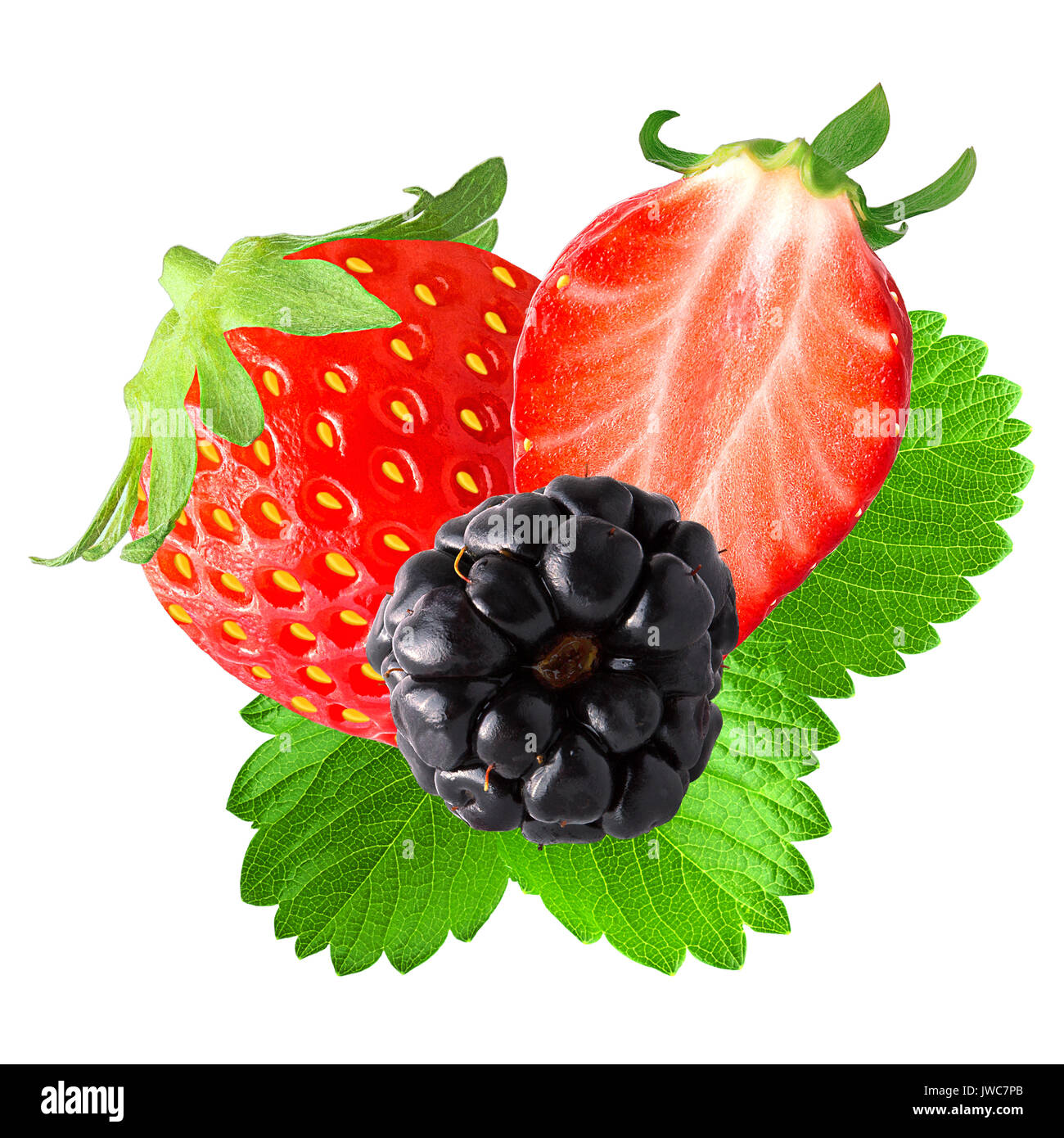 Strawberry and blackberry with leaf isolated on white background as ...