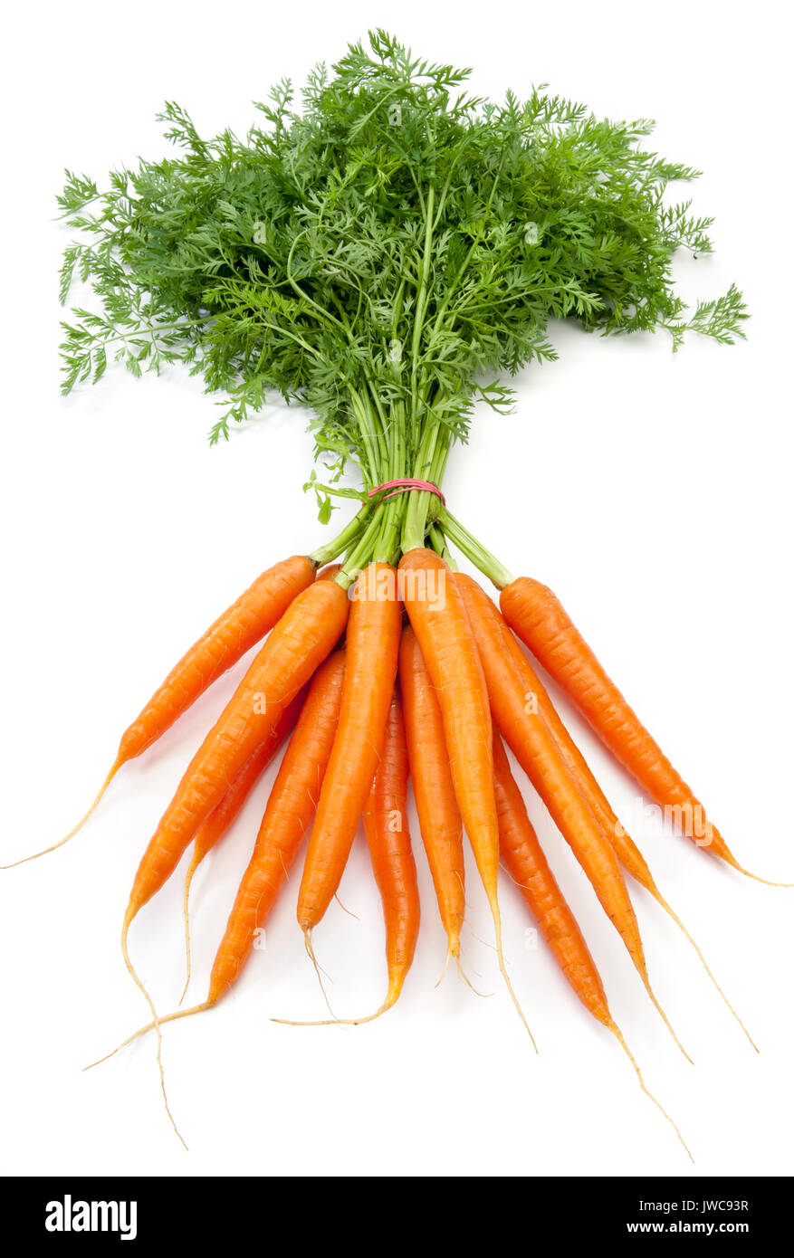 bundle fresh carrots isolated Stock Photo - Alamy