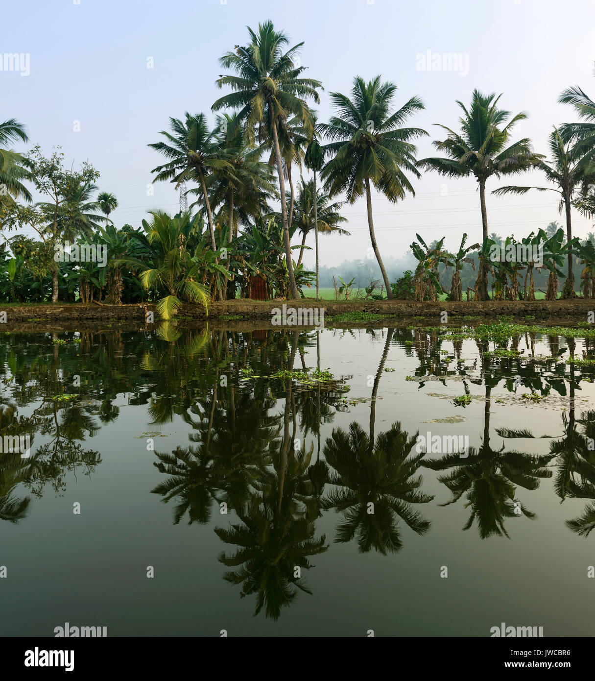 Malabar coast hi-res stock photography and images - Alamy