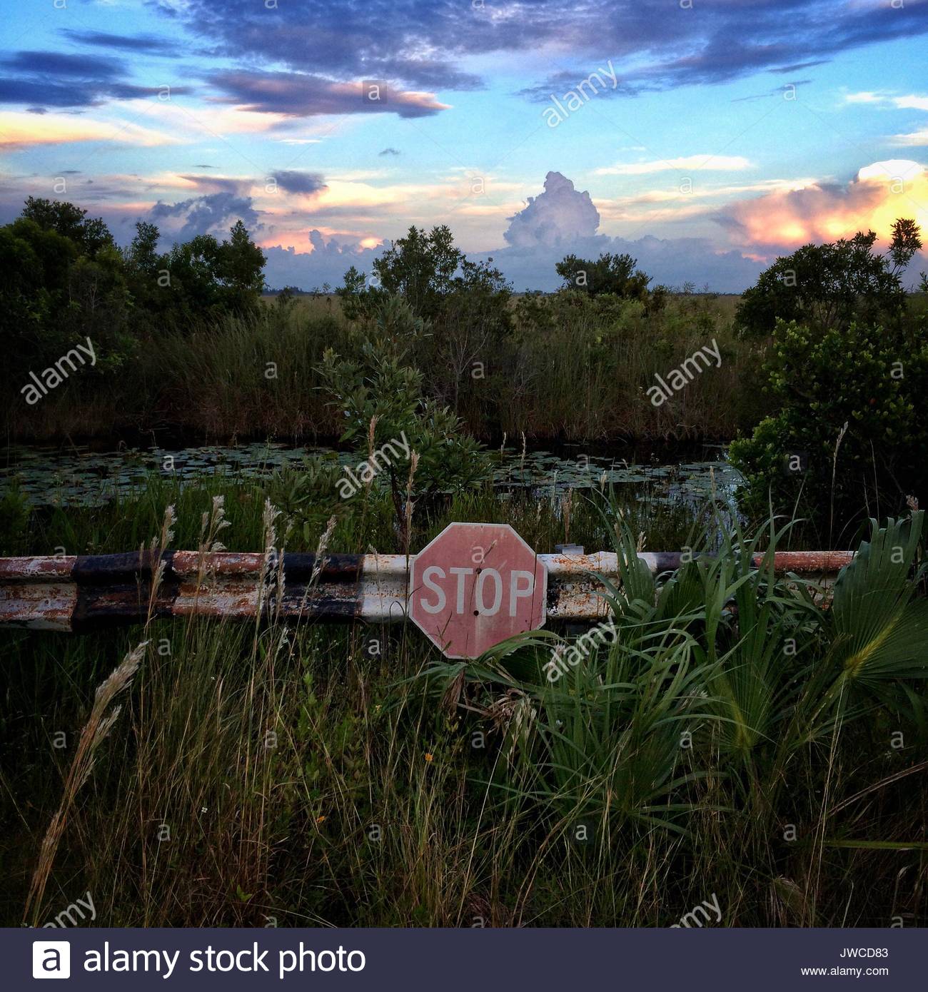 Everglades National Park Sign Florida Stock Photos & Everglades ...
