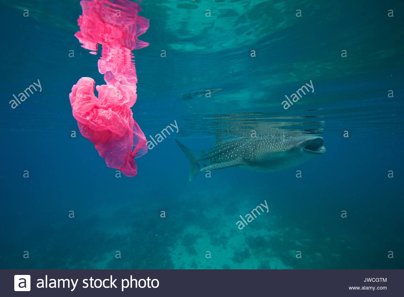 Floating Plastic High Resolution Stock Photography and Images - Alamy