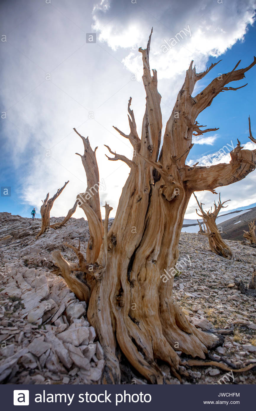Rough Terrain Stock Photos & Rough Terrain Stock Images - Alamy