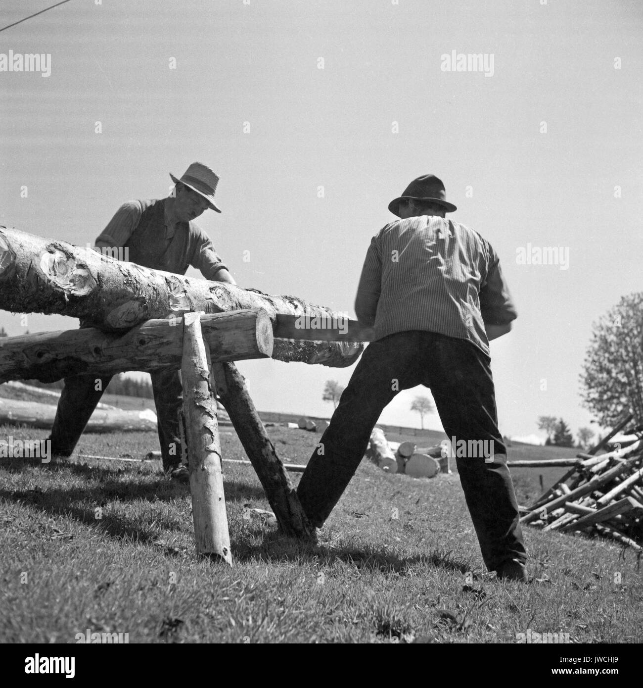 Two Men Sawing Log High Resolution Stock Photography and Images - Alamy