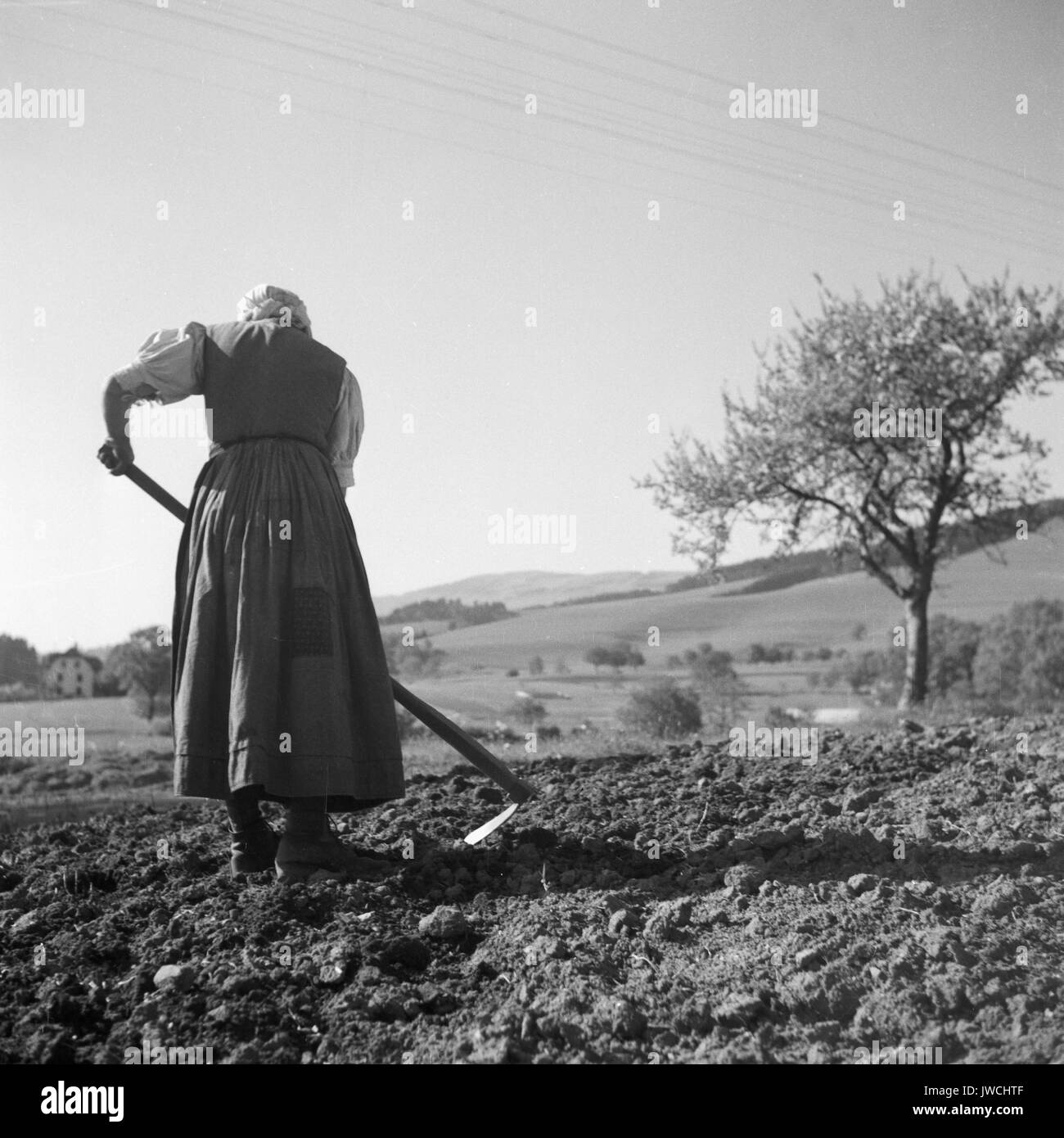 Hoeing The Field High Resolution Stock Photography and Images - Alamy