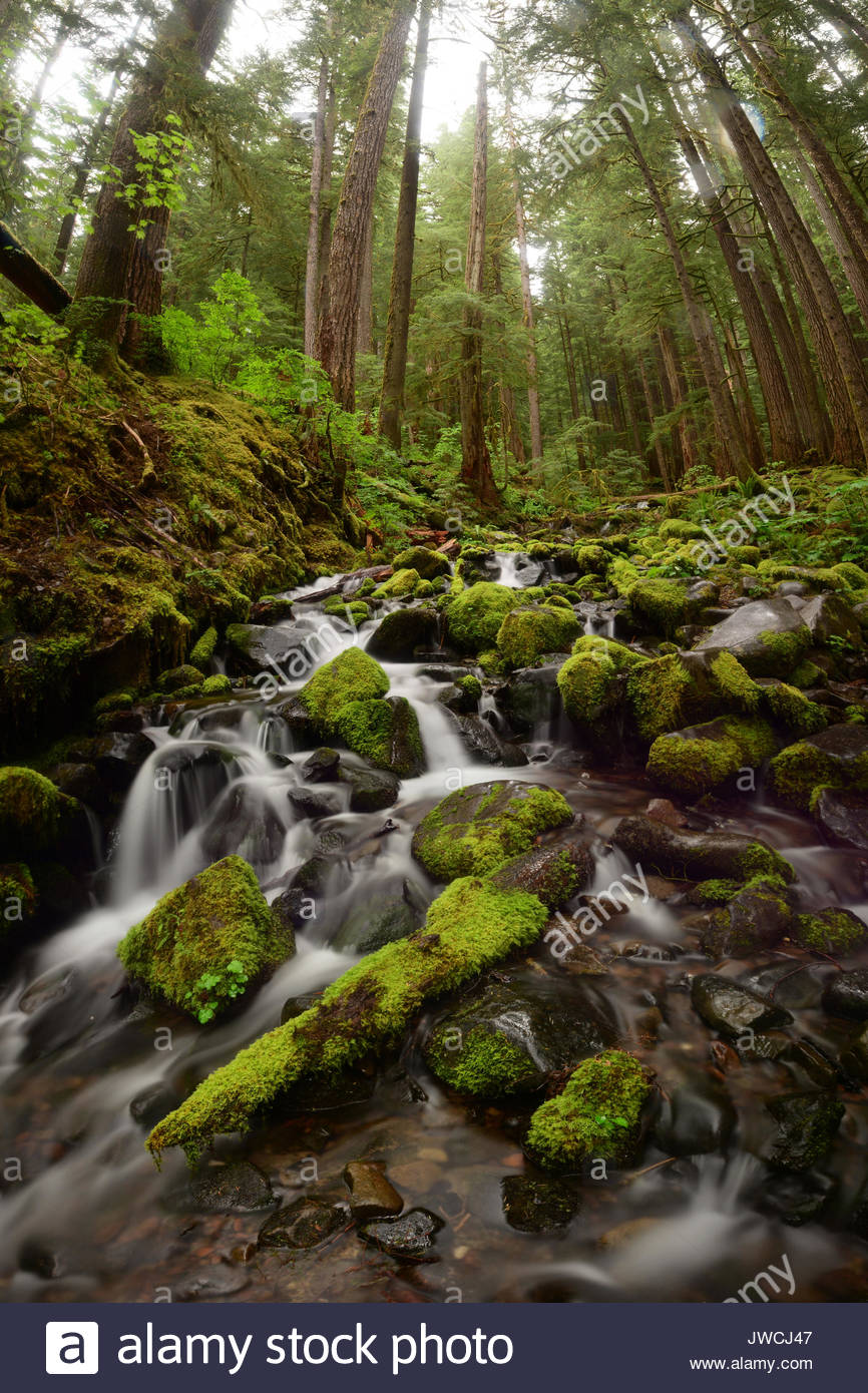 Sol Duc Stock Photos & Sol Duc Stock Images - Alamy