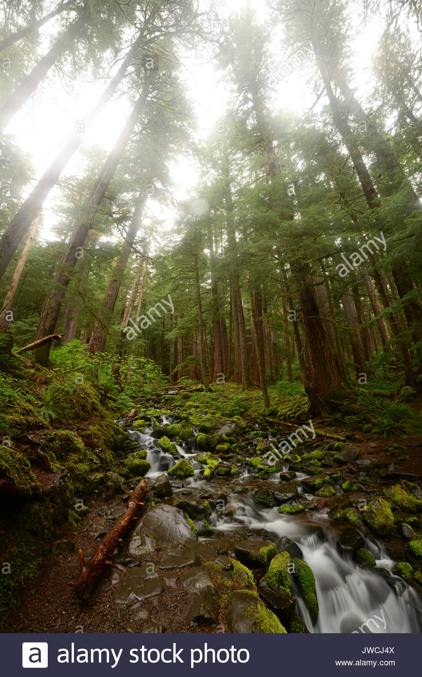 Sol Duc Stock Photos & Sol Duc Stock Images - Alamy