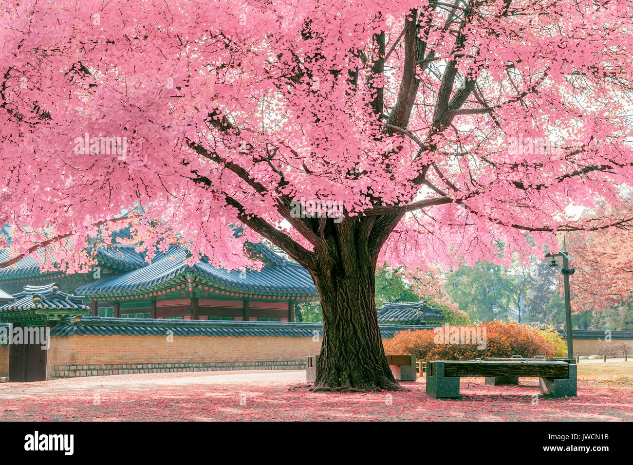 Garden path through arch way hi-res stock photography and images - Alamy