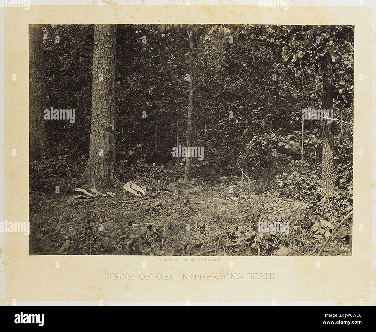 Victorian death photography hi-res stock photography and images - Alamy