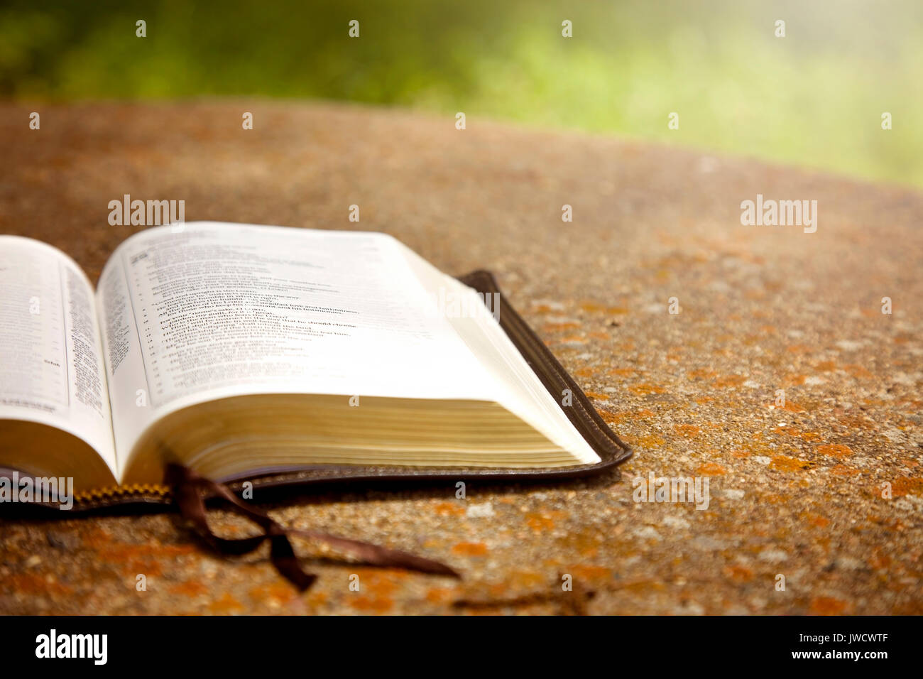An Opened Bible on a Table in a Green Garden Stock Photo - Alamy