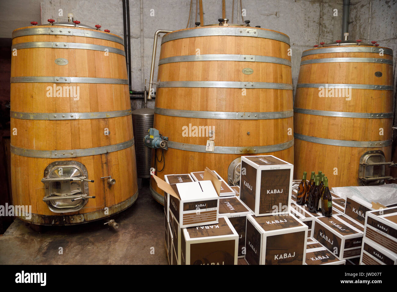 Large oak fermentation barrels of Pinot Grigio at Kabaj Morel Guest ...