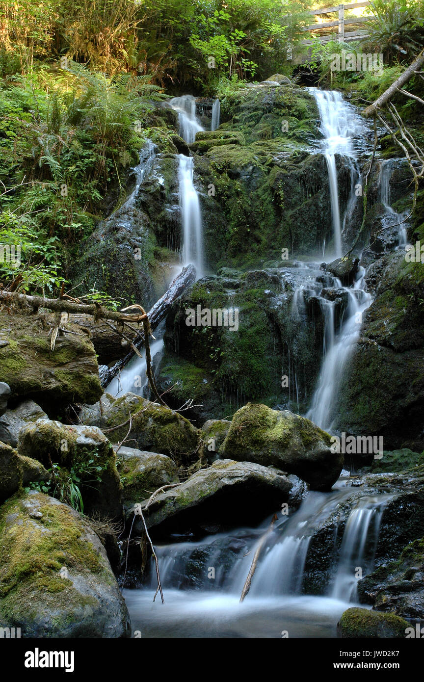 Waterfall in the forest Stock Photo - Alamy