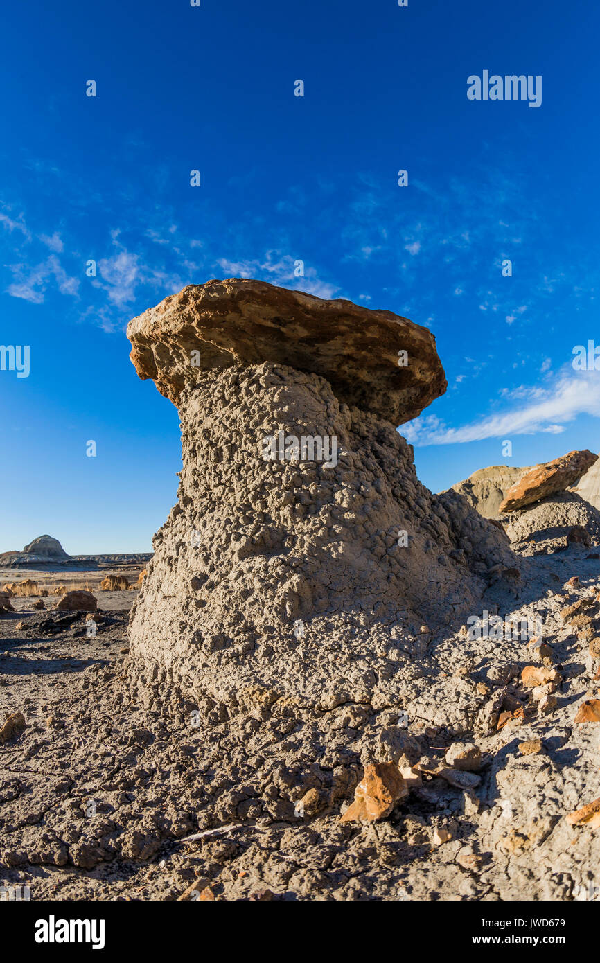 Mushroom-shaped caprock formations in the Bisti/De-Na-Zin Wilderness ...