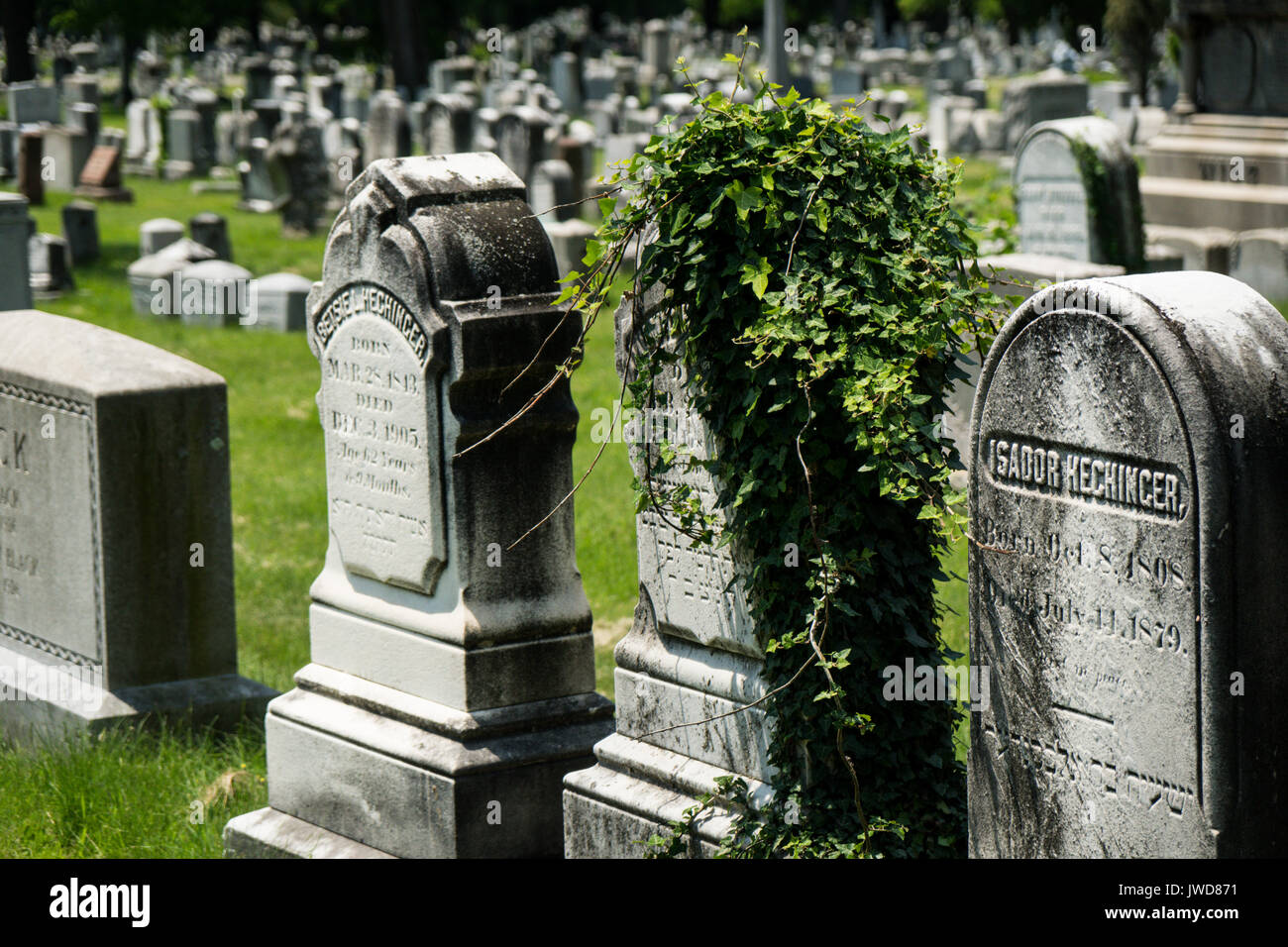 Well kept graveyard hi-res stock photography and images - Alamy