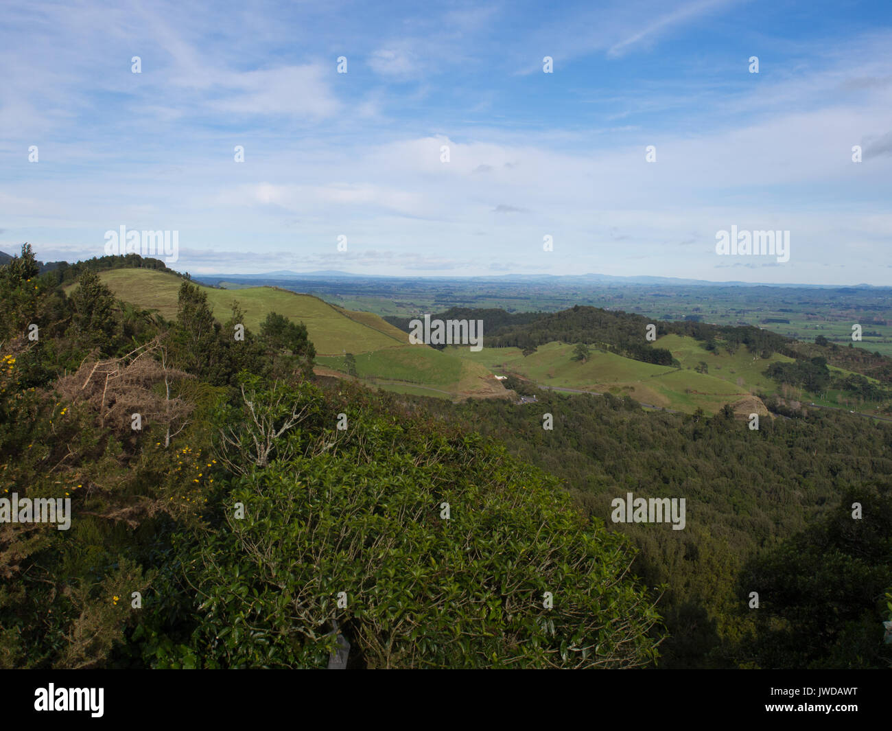 Mamaku hi-res stock photography and images - Alamy