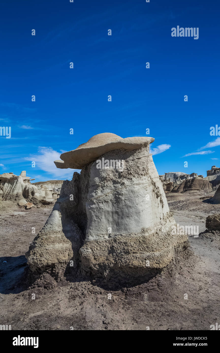 Caprock shaped like a sombrero in the Bisti/De-Na-Zin Wilderness near ...